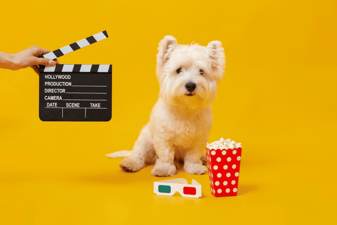 Dog Movies: Everything You Need to Know - NFI