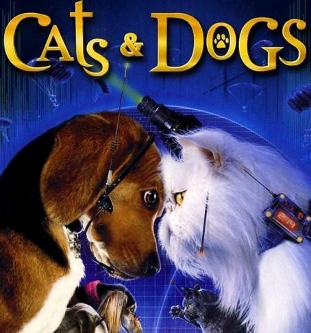 Dog Movies: Everything You Need to Know - NFI