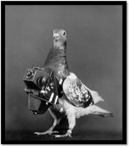 Aerial Shot - Everything You Need to Know - NFI